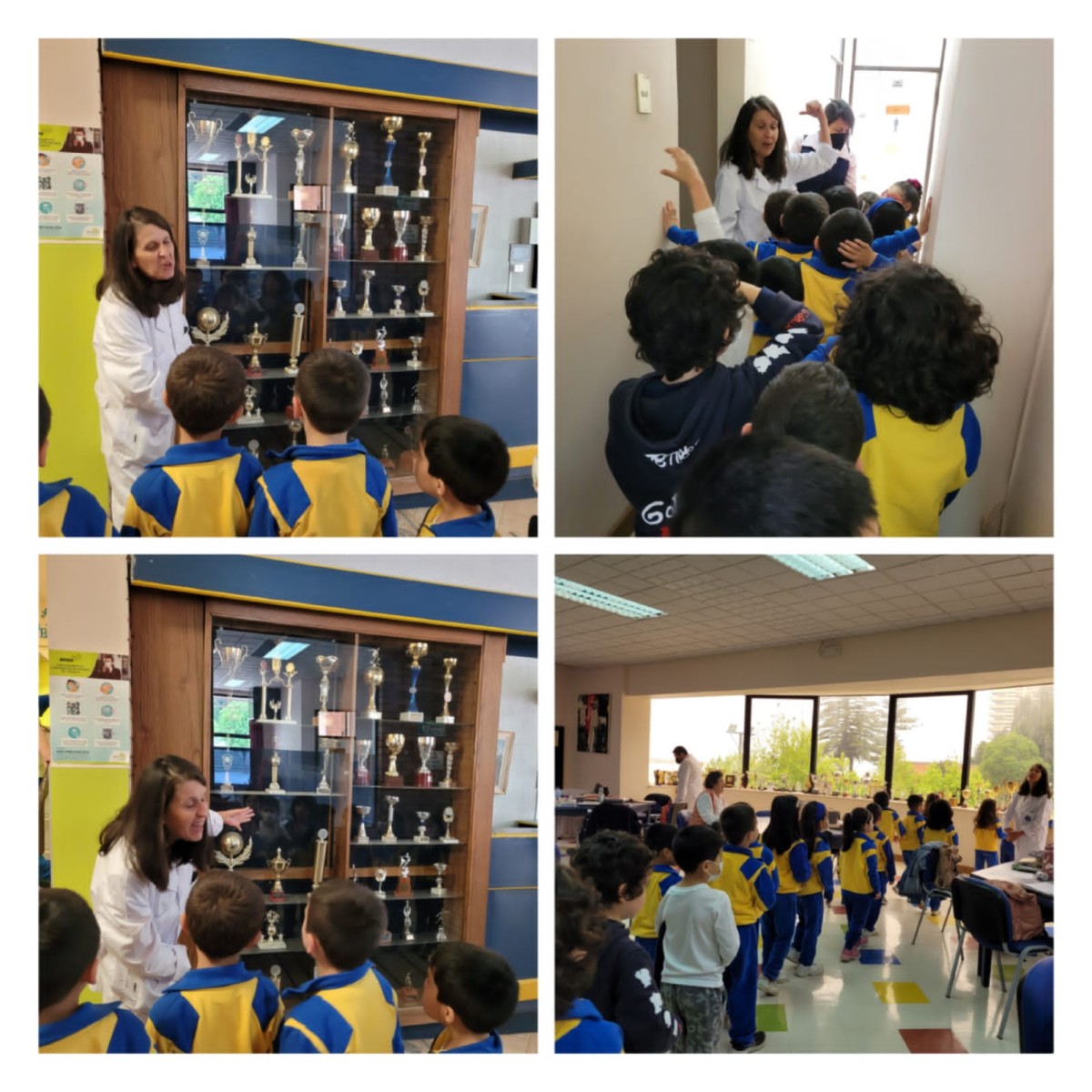 Articulación Kinder- Primero Básico 2022 | Colegio Concepción