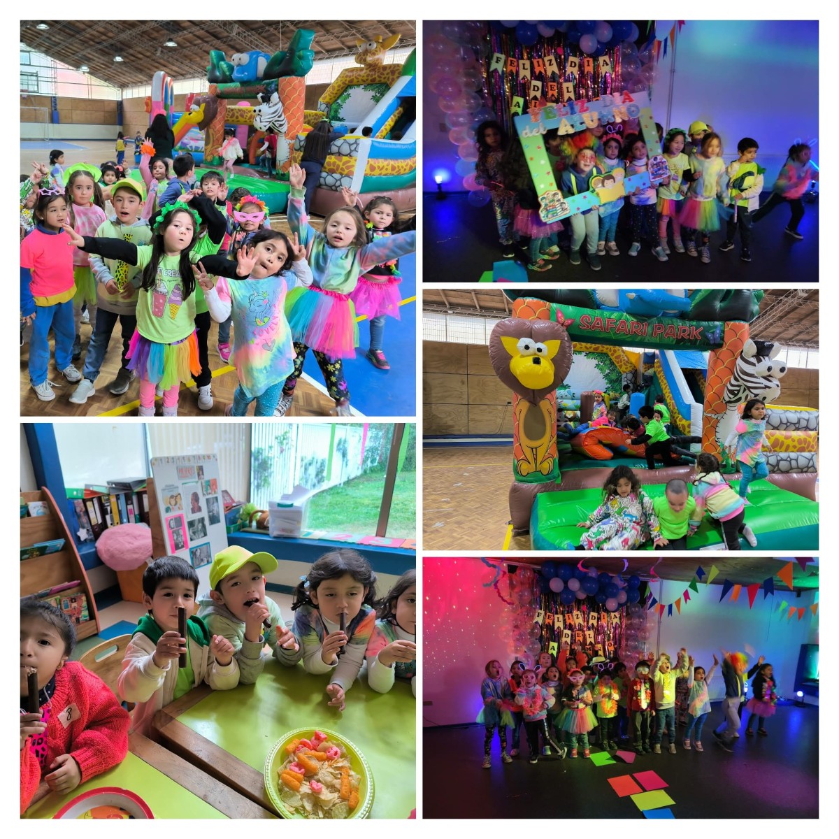 Articulación Kinder- Primero Básico 2022 | Colegio Concepción